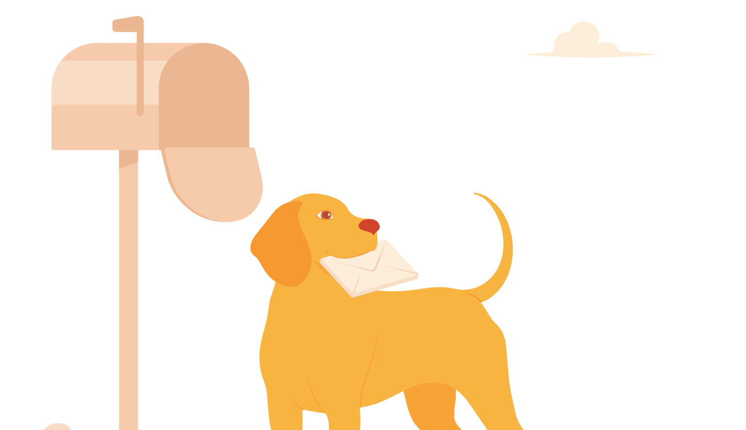 DogGO ikinci kez yatırım turuna çıkıyor! - Techinside